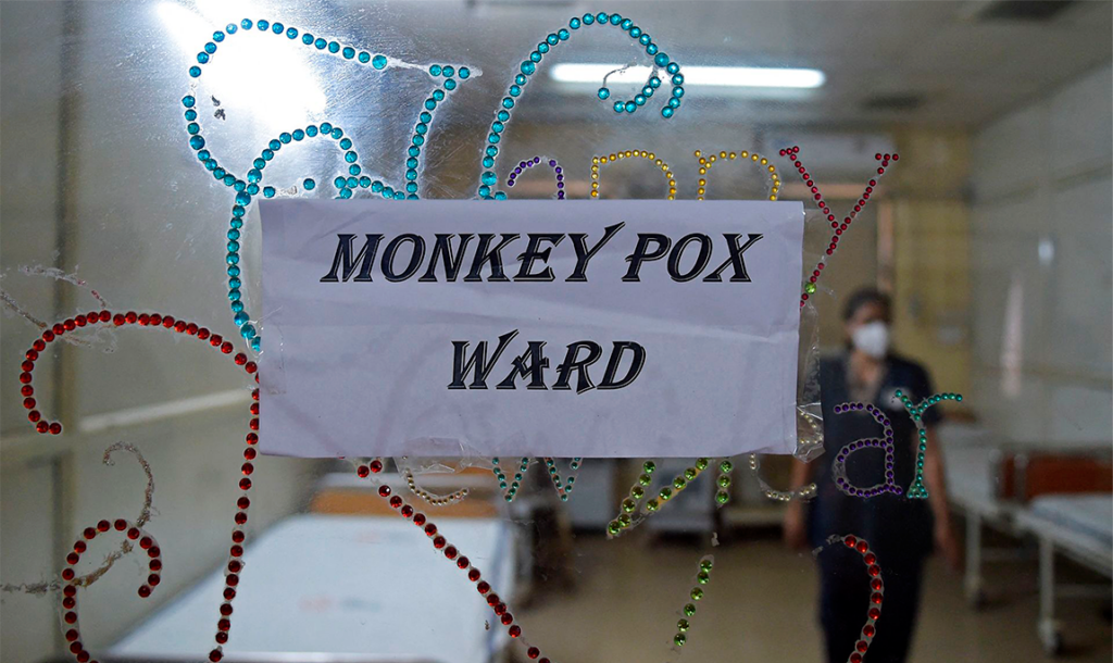 Abekopper: Hvad afgør, hvem der får en vaccination? - Vid&Sans